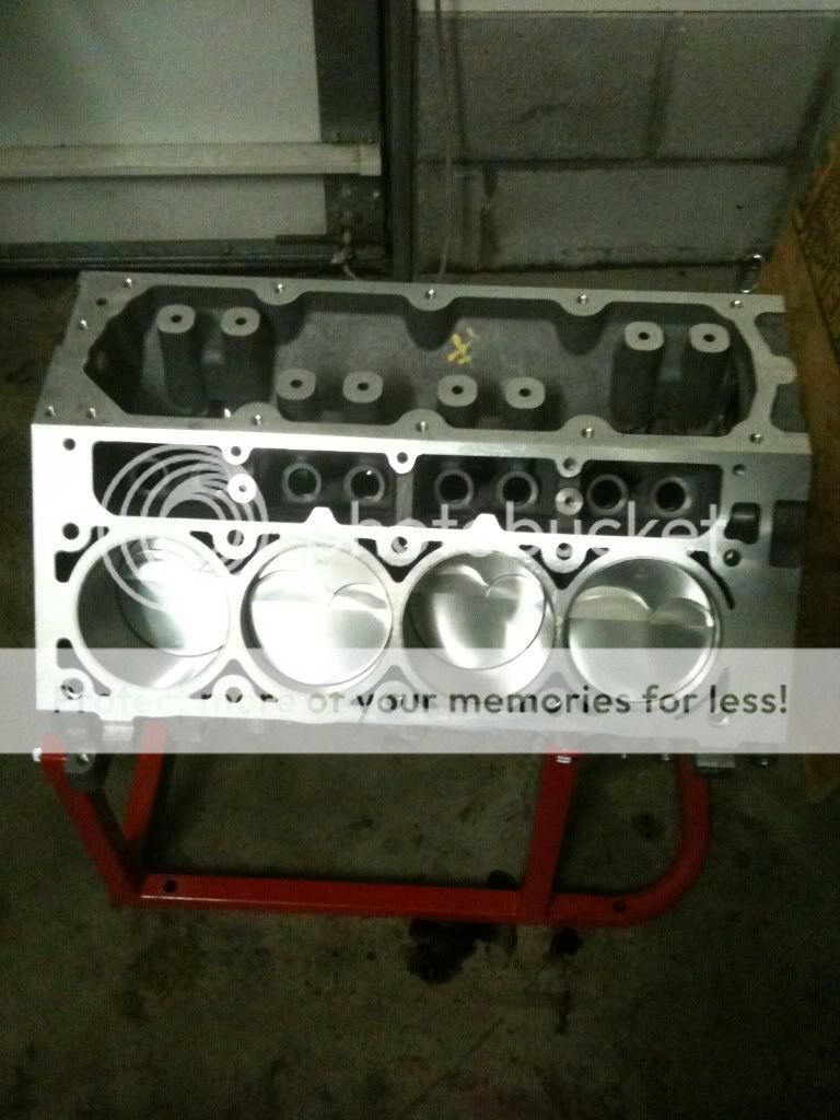 September CTS-V of the Month: Pisnuoff! | Cadillac Owners Forum