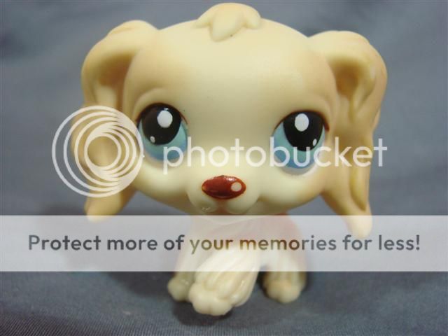 Littlest Pet Shop LPS #91 Cream Blonde Cocker Spaniel Puppy Dog Blue ...